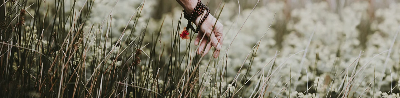 Sustainable British Fashion: Discover 56 Ethical Brands